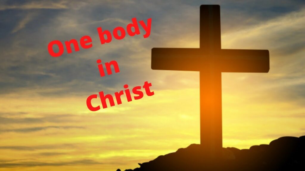 One Body in Christ: A Biblical Response to Dispensationalism & the ...